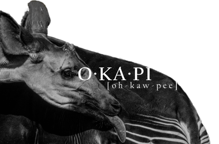 Okapi Architecture – Architecture, in Green